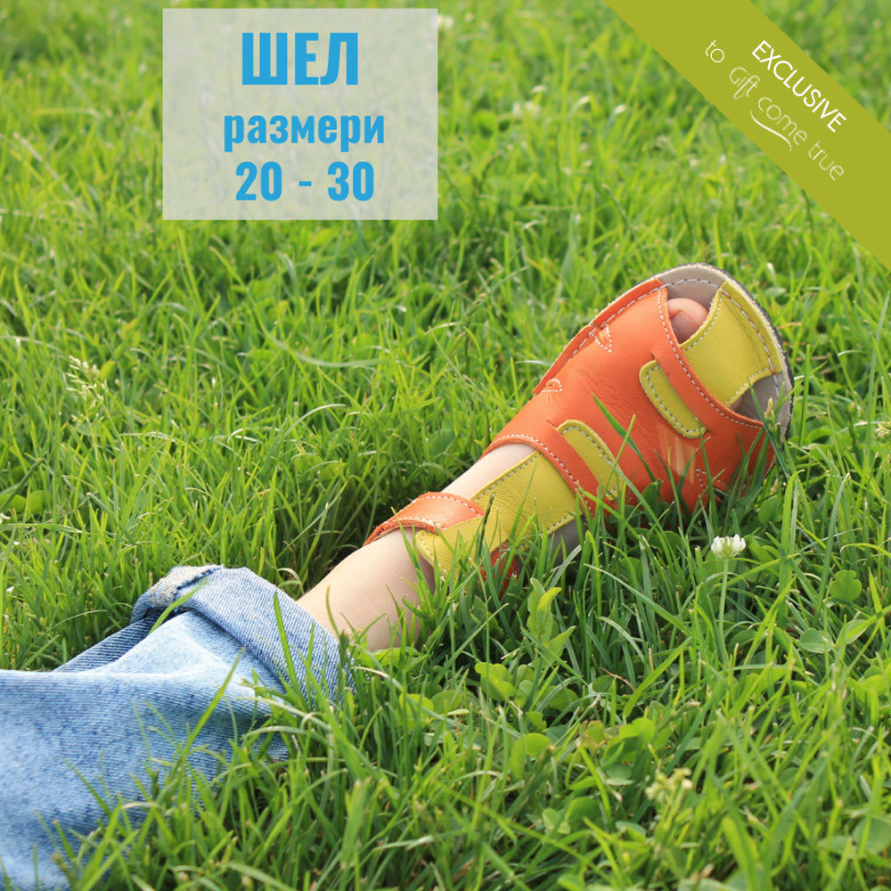 Ваучери за преживявания в София – Page 2 – GiftComeTrue.com